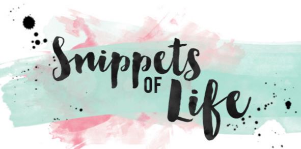 Life Beyond Musing: Snippets of Life