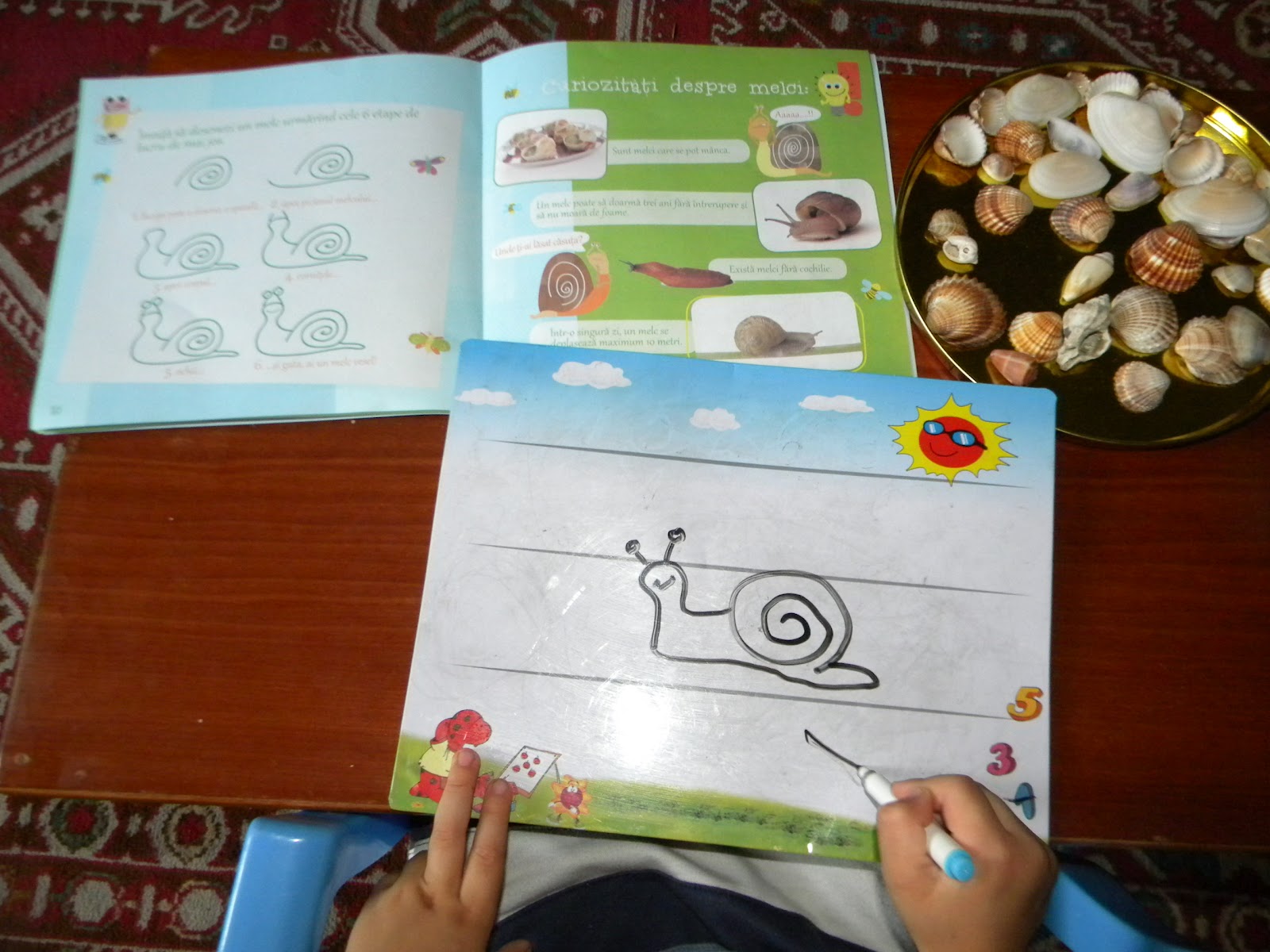 Emella's World: Melc , melc codobelc (1)