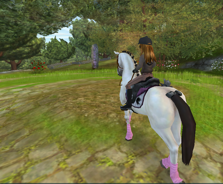 Amelia Star Stable Poland: Dark Core.