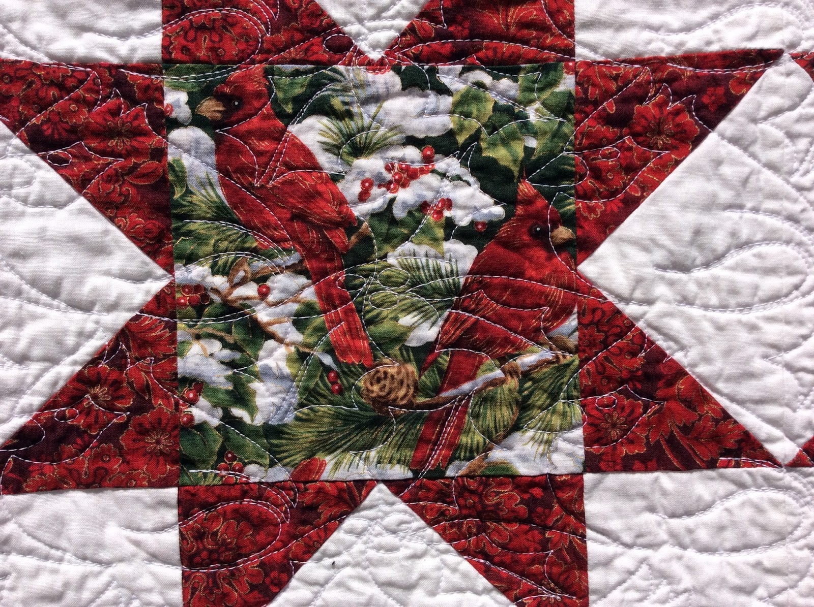 AlliKat Quilts: Cardinal Red Star Quilt - A finish and a winner!