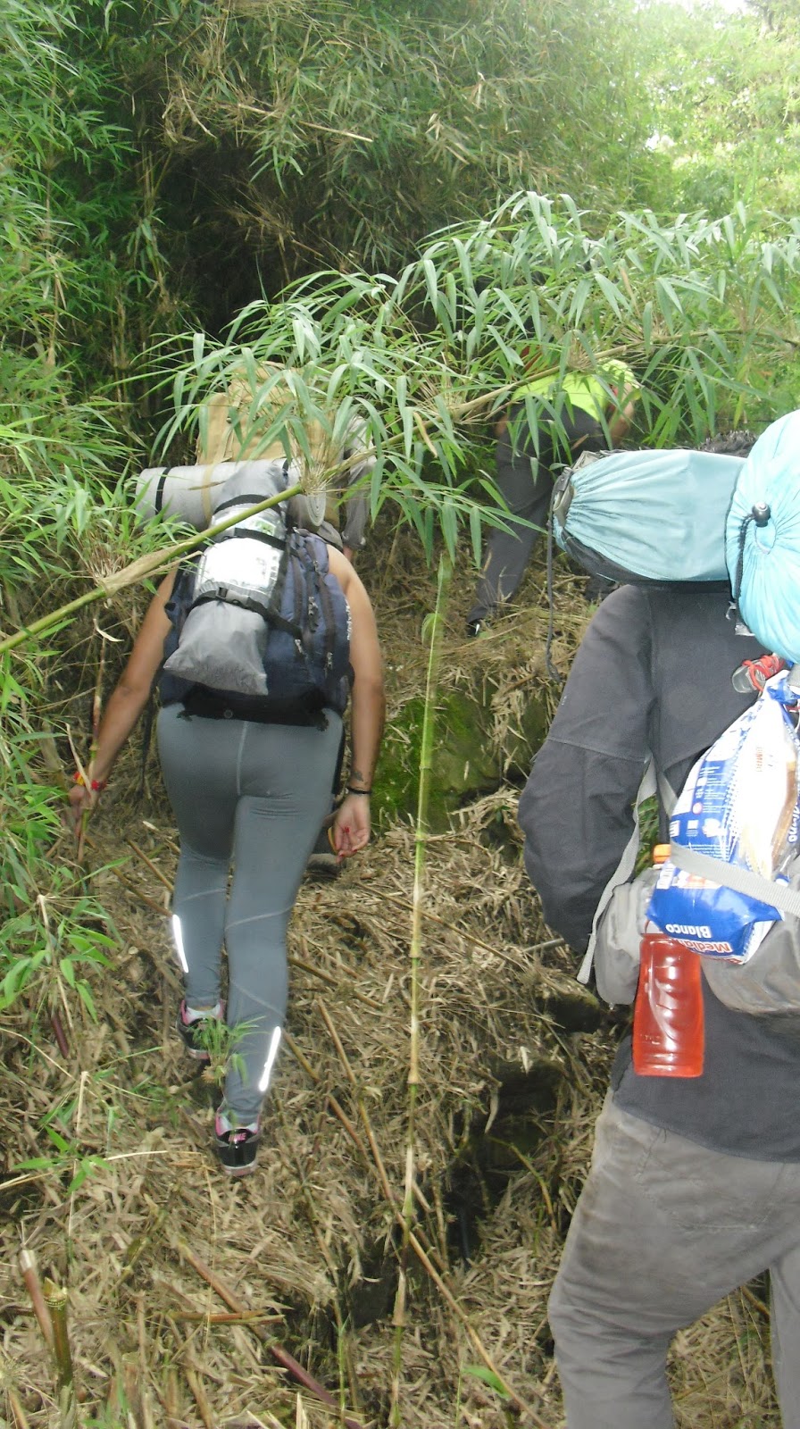 Andando por Venezuela: Pico Codazzi