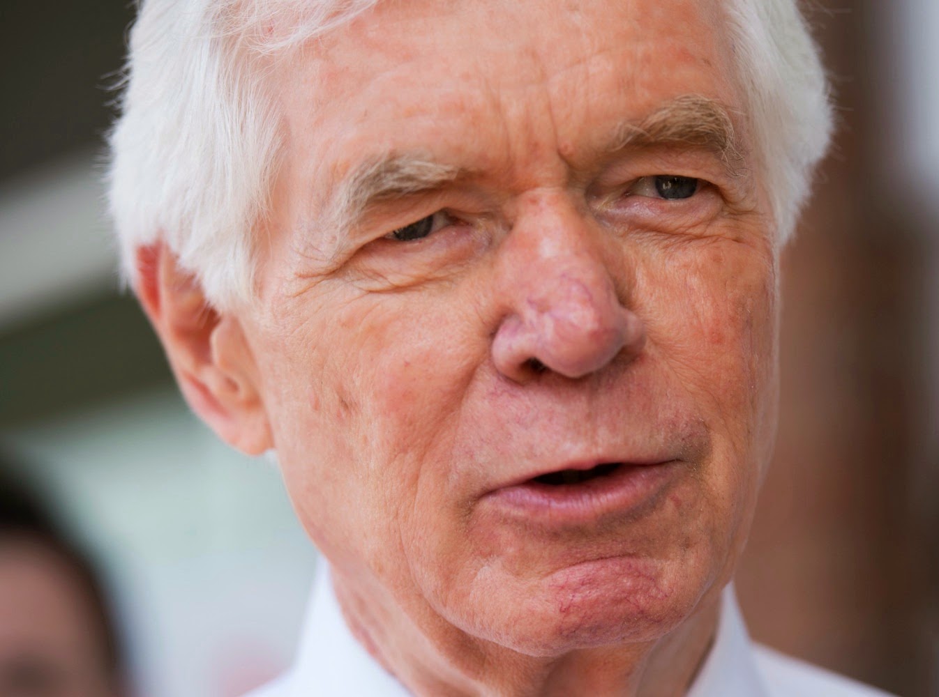 Dogwalk Musings: The Beauty of Cochran's Win