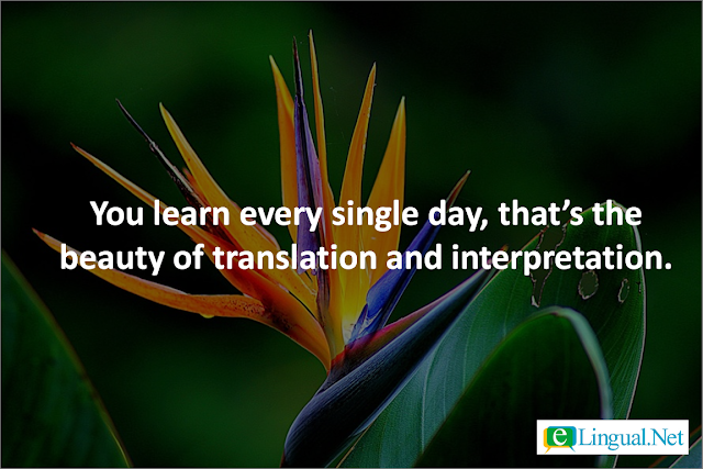 Quotes On Translation And Interpretation