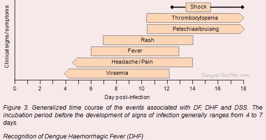 Dengue Shock Syndrom (DSS) | INFONOTO