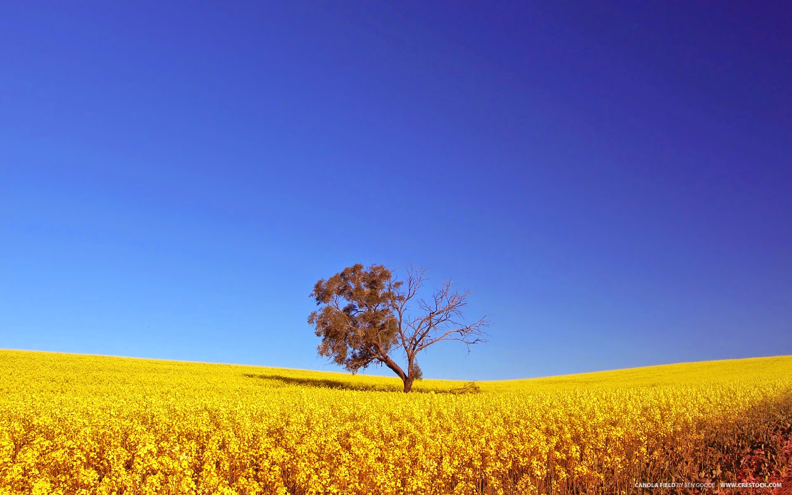 AS MAIS BELAS IMAGENS DA NATUREZA