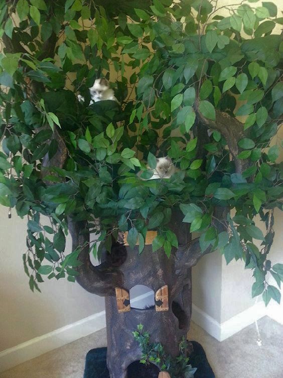 Luxury Cat Trees for Spoiled Rotten Kitties: The Ultimate Cat Tree
