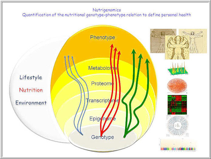 S T R A V A G A N Z A: WHAT IS NUTRIGENOMICS?