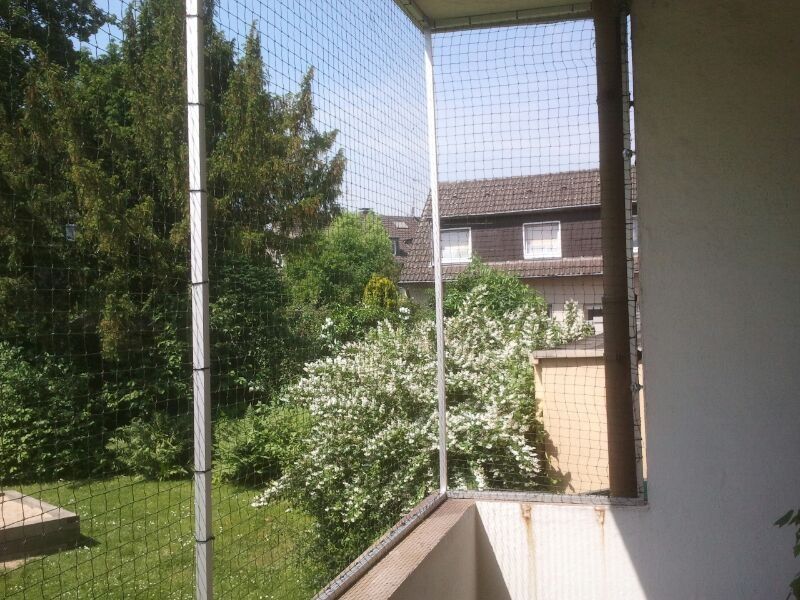 Katzennetz Experte - Katzennetze vom Profi aus NRW: Katzennetz für ...