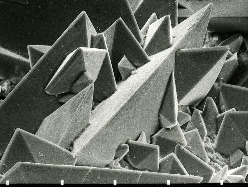 Every Day Is Special: April 20, 2012 - Electron Microscope Demo