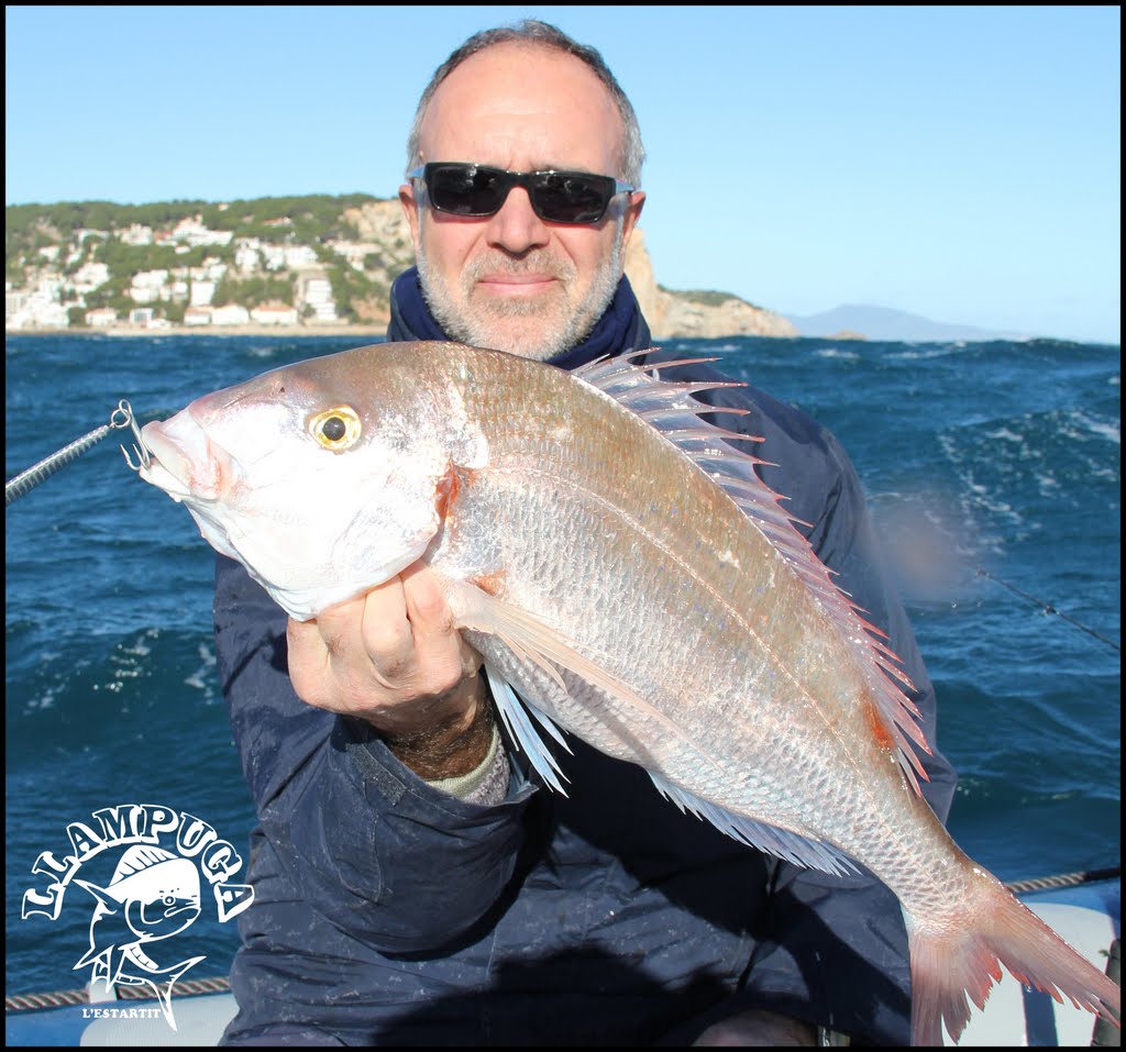 24 DICIEMBRE- PAGEL XL AL JIGGING