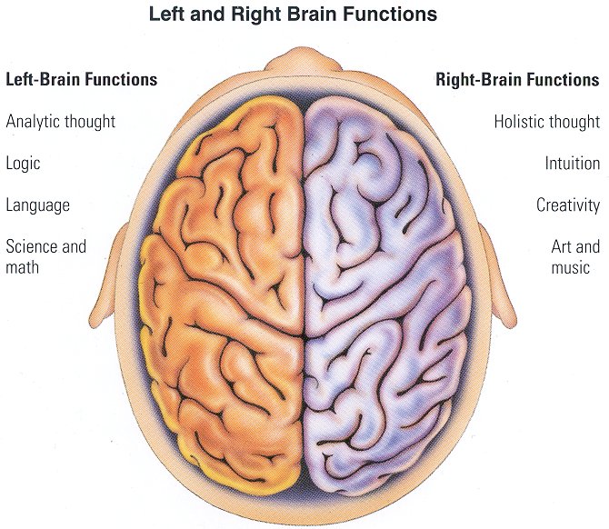 Psych Knowledge: Contralateral and the Corpus Collosum