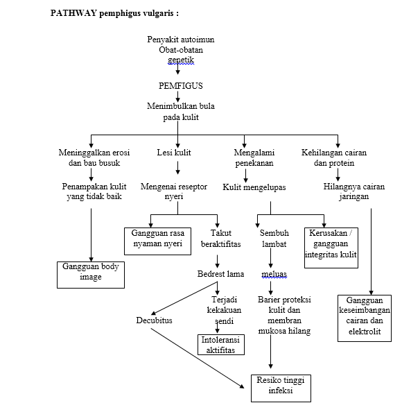 Pathway Pemfigus Vulgaris ~ WANTUN OFFICIAL
