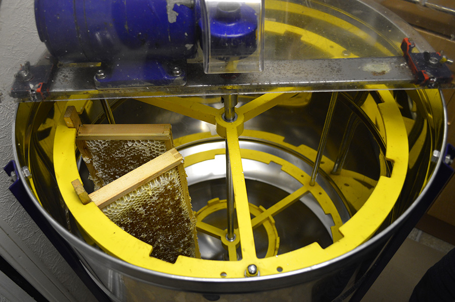 Hives Update & Honey Extraction - Lovely Greens Garden Living and Making