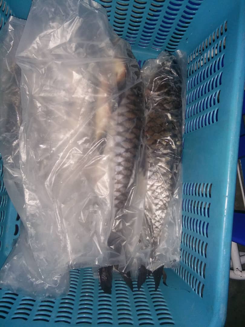 Beautiful Lie in a Beautiful Life: Terung asam, bunga kantan, umbut ...