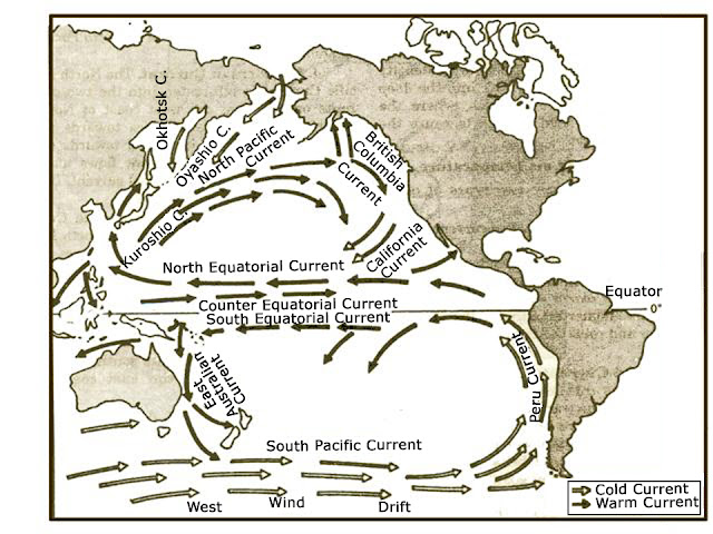 QUESTIONS ON GEOGRAPHY: the currents of the Pacific Ocean.