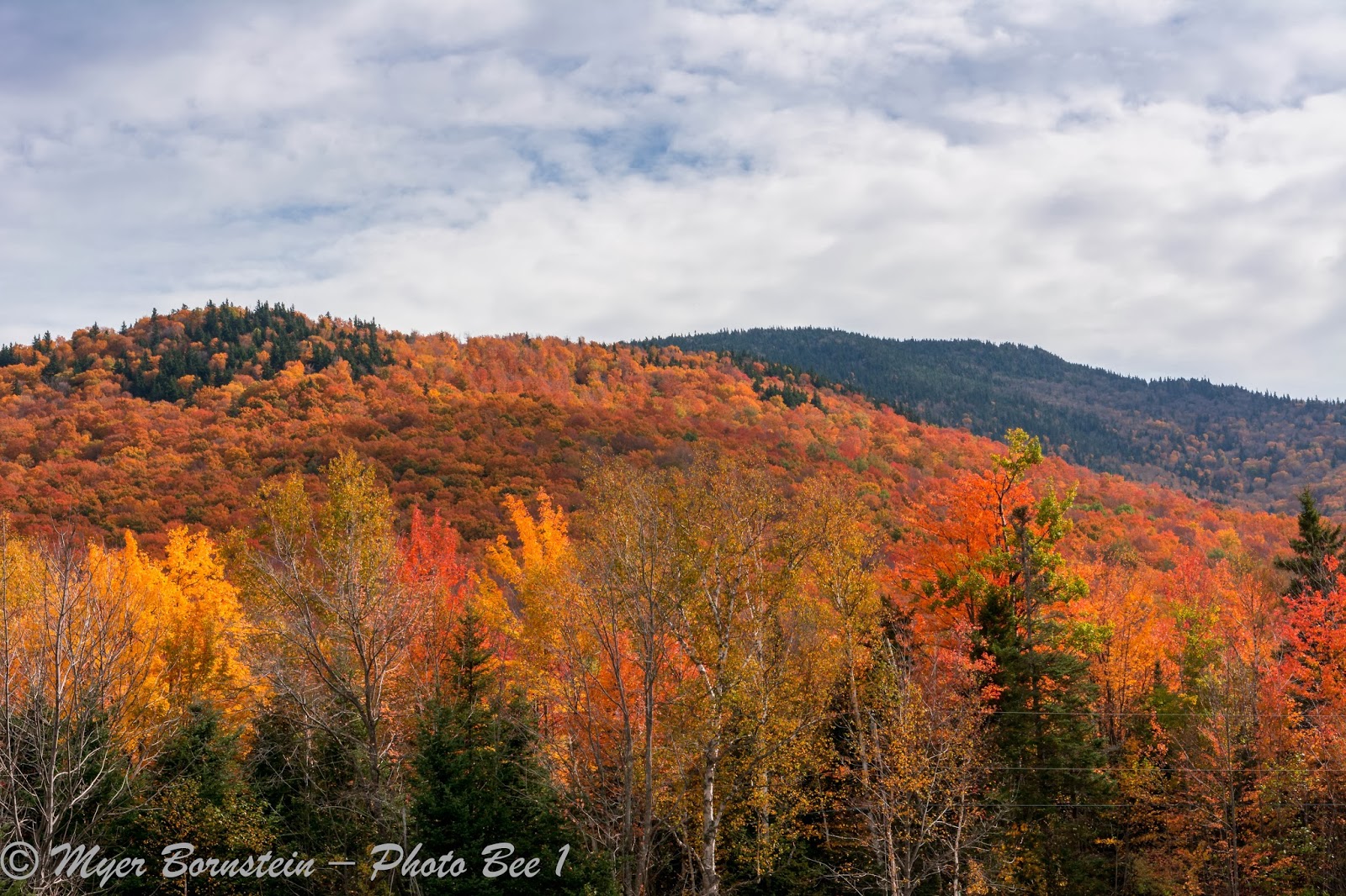 Fall Foliage over the White Mountains