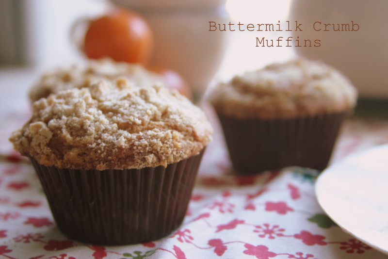 The Way to My Family's Heart: Buttermilk Crumb Muffins {Tuesdays with ...