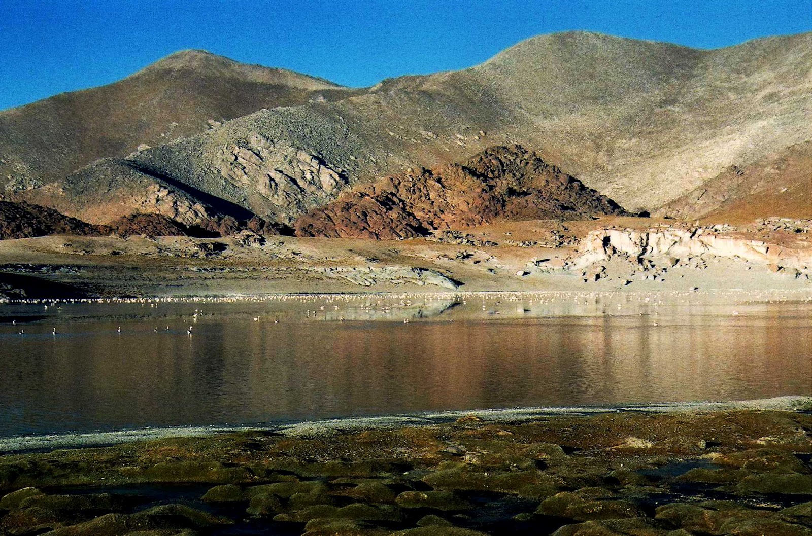 CERCANORTE: El cráter del Volcán Galán, Catamarca, Argentina