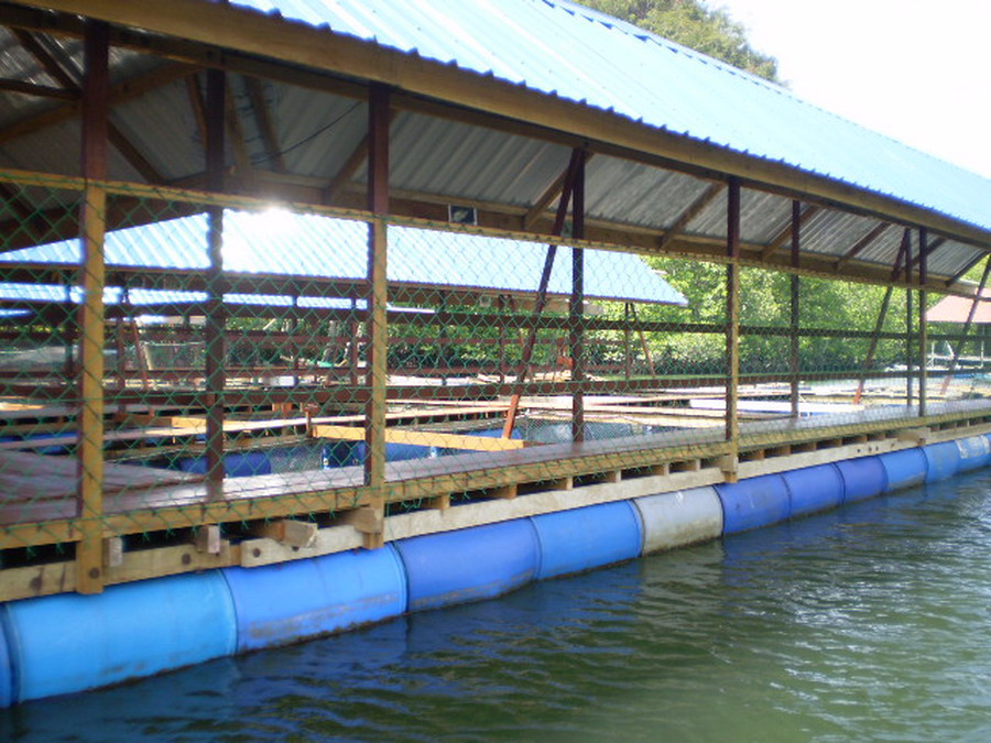 PAKEJ KE LANGKAWI TRAVEL & TOUR 2023: MANGROVE SUNGAI KILIM