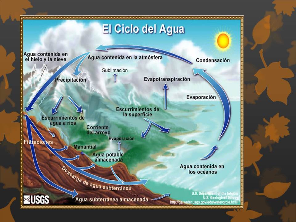 Ciencias Naturales: Ciclos de la Materia