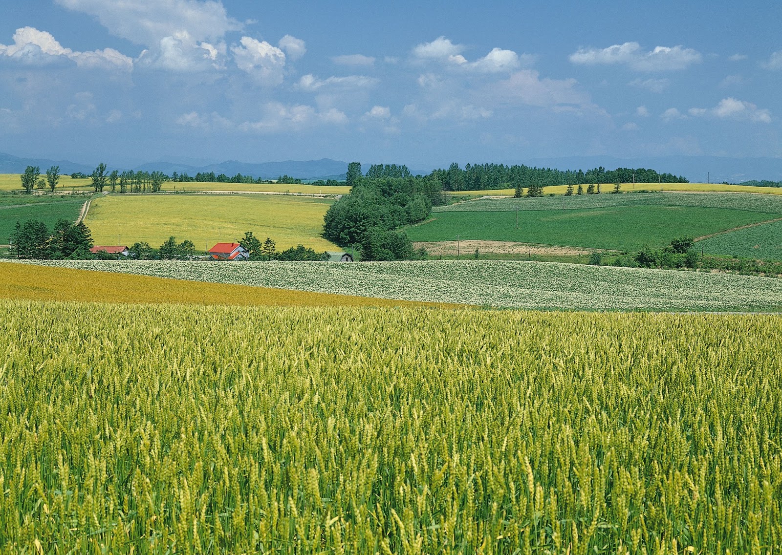 Our Beautiful World: Four season landscape
