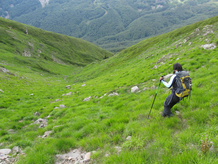 Escursionismo a 360°: Alpe Tre Potenze e Gomito (per il Lago del Greppo) EE