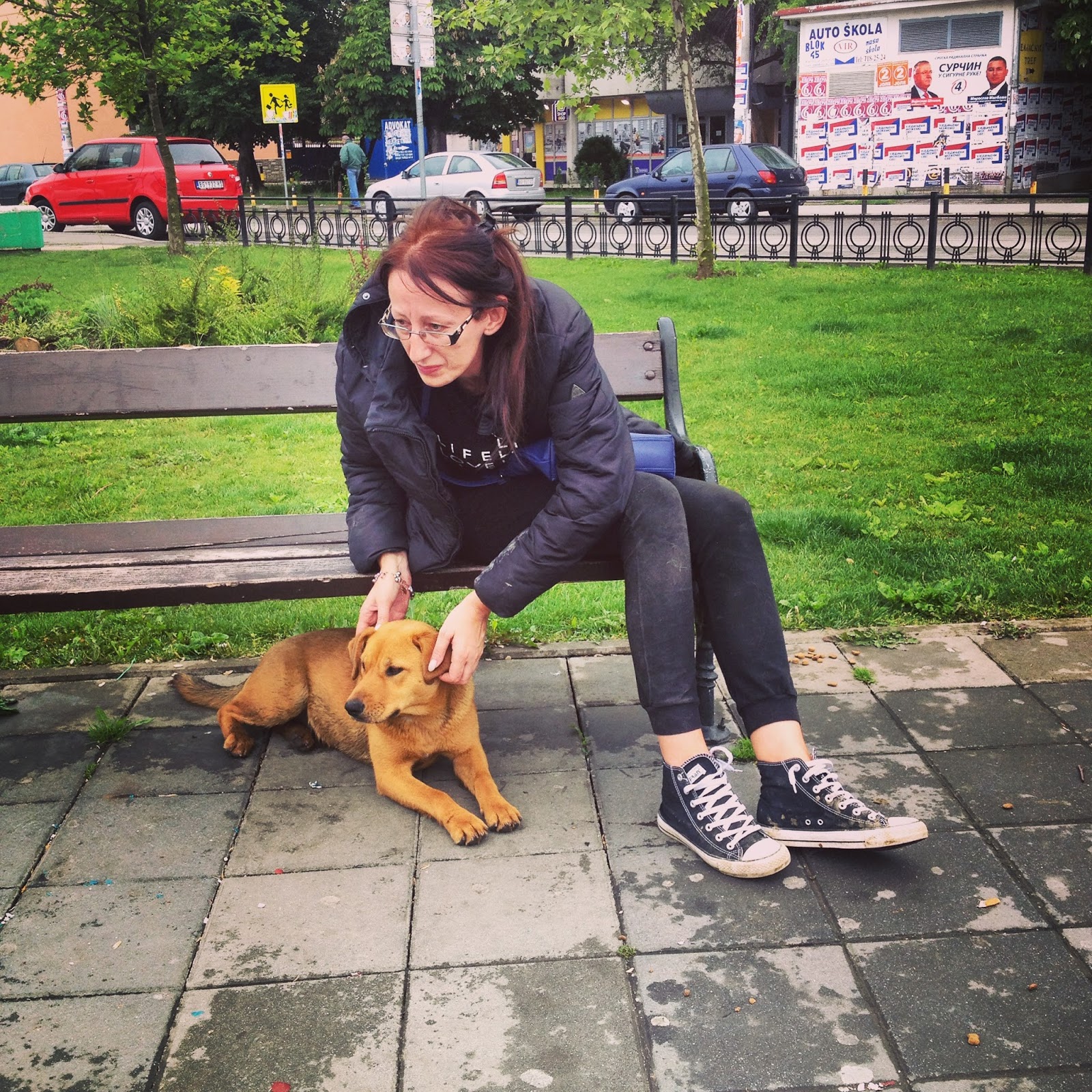 Pound Dogs Toronto Animal Services - dog adoption - animal shelter