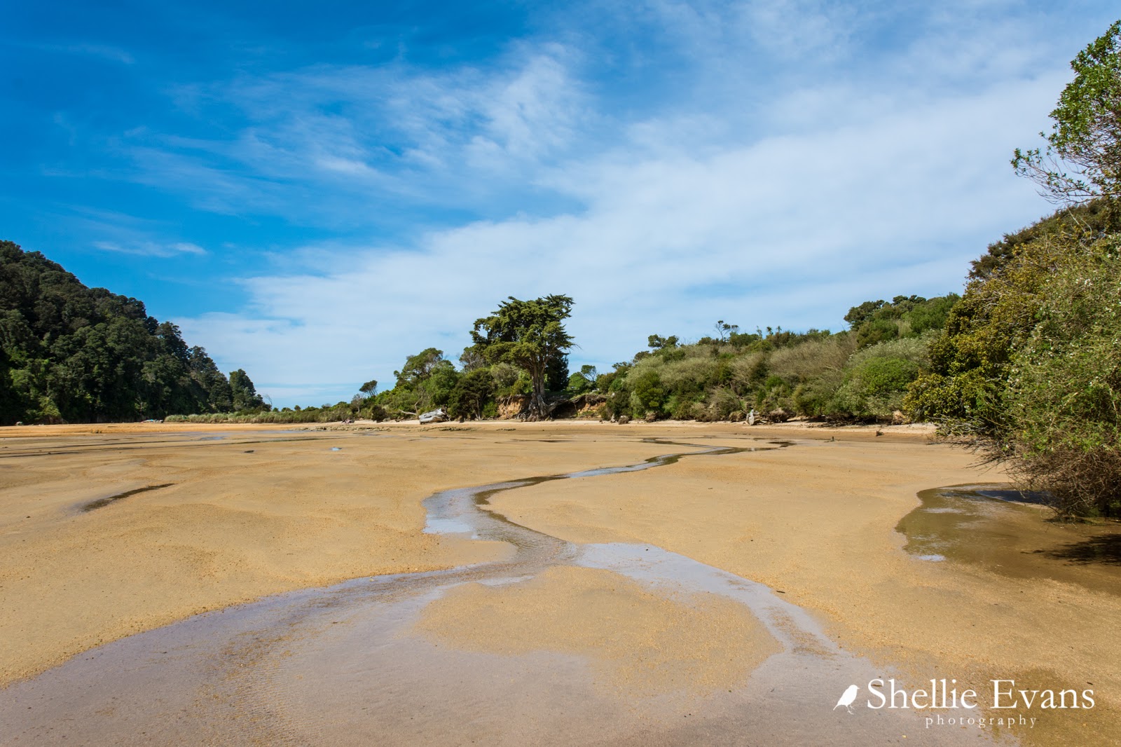 Two Go Tiki Touring: Totaranui- Bird Paradise