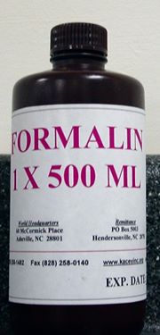 Ciri-ciri Makanan Mengandung Formalin dan Boraks serta Gambarnya - JASA ...