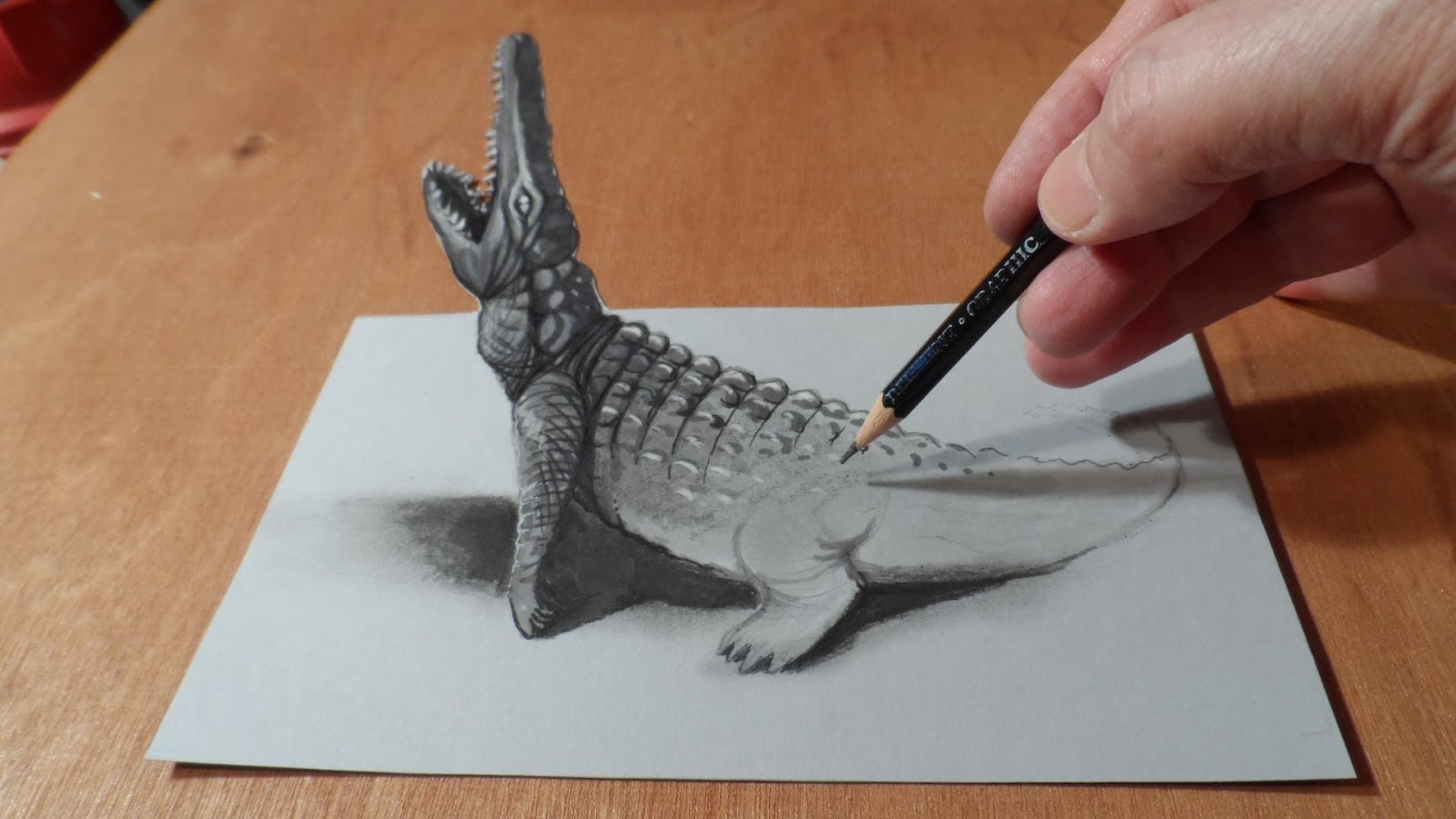 Trick Art Drawing 3D Crocodile, Visual Illusion | Tips 24 Hours