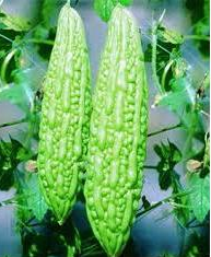 Pare Fruit Benefits For Health - TRADITIONAL MEDICINE