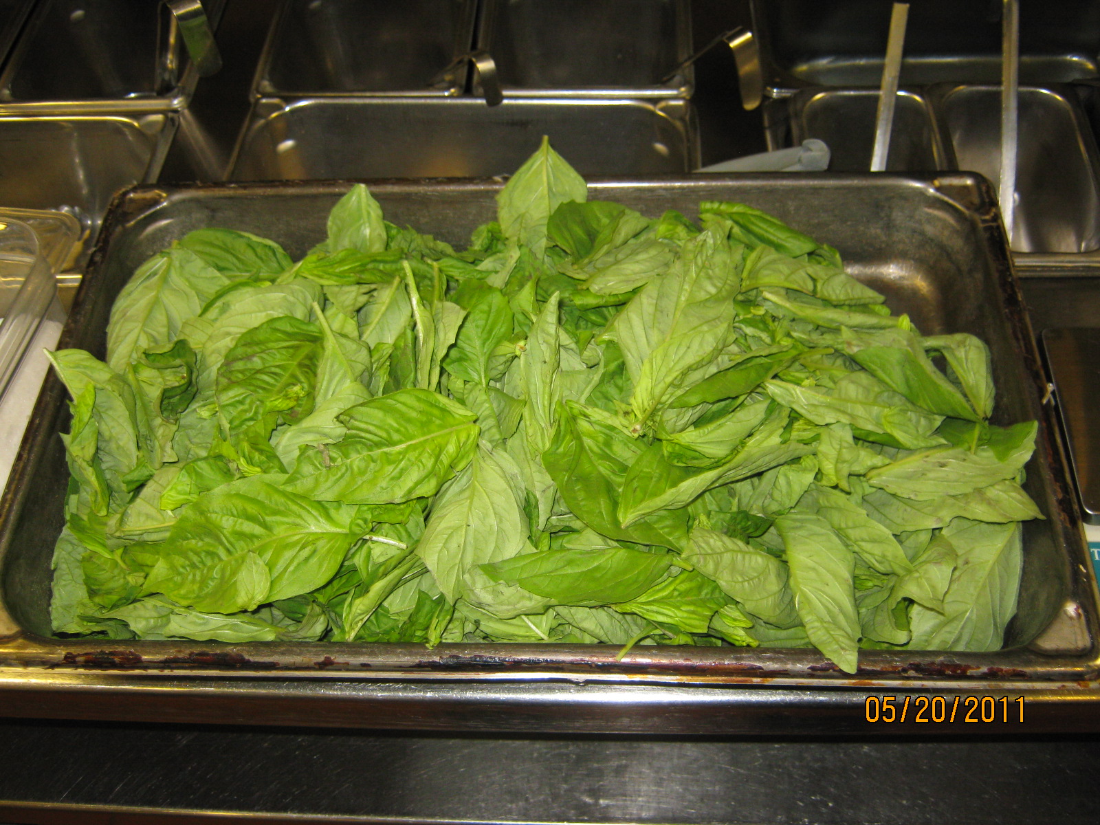 J. Gilbert's 826 Test Kitchen/Chef's Tasting Log: Basil Gelee