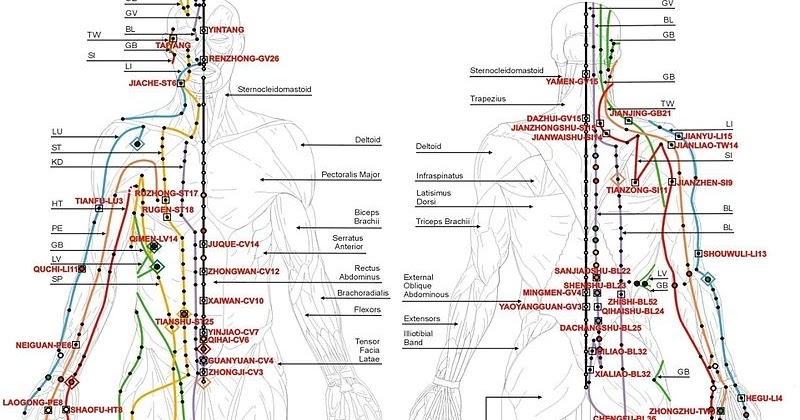 Medicina energetica: agopuntura e omeopatia: Le patologie dei meridiani