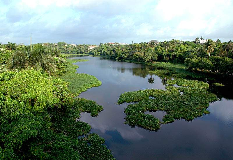 Historia de Los Mina: Incluimos El Río Ozama (Capítulo I) - Los Mina ...