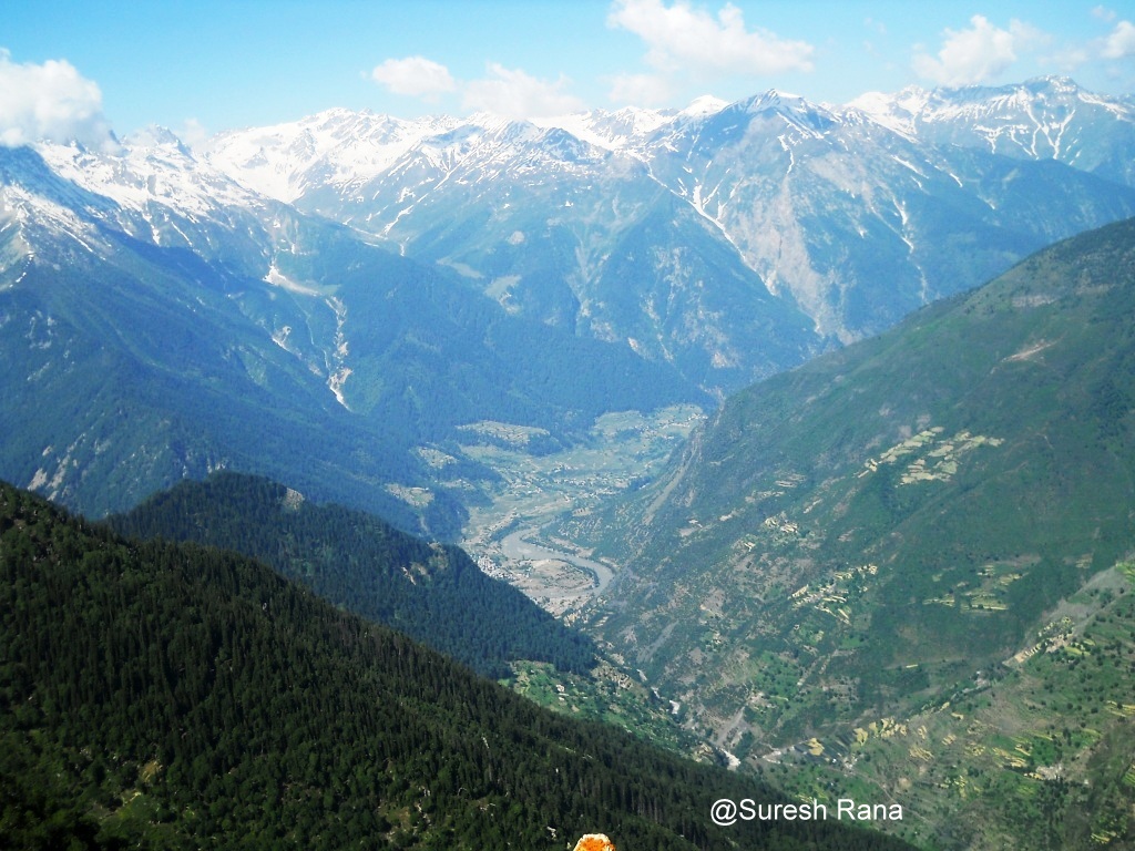 PADDAR: THE SAPPHIRE VALLEY: Beauty of the Biodiversity rich valley Paddar