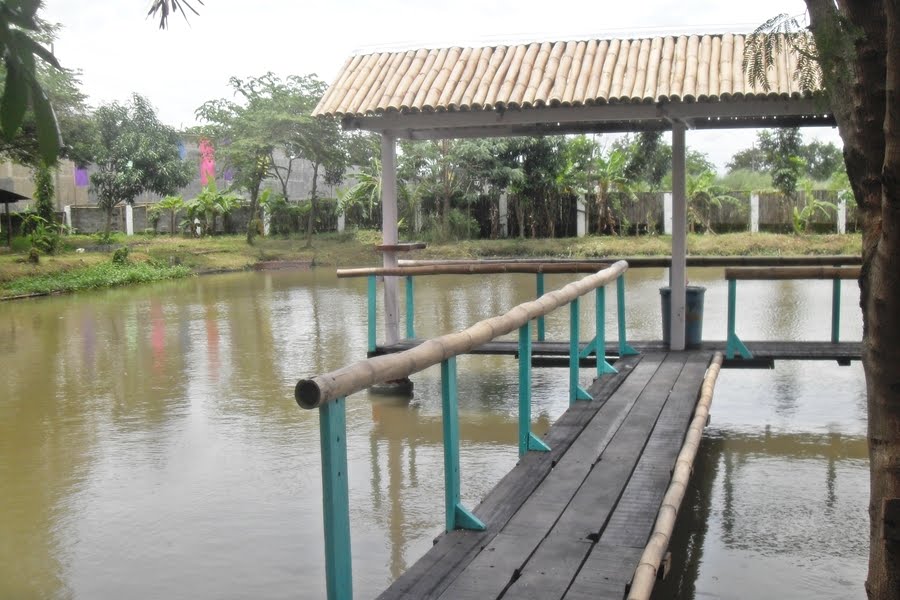 Champ's Aqua Farm - Bulacan, Bulacan