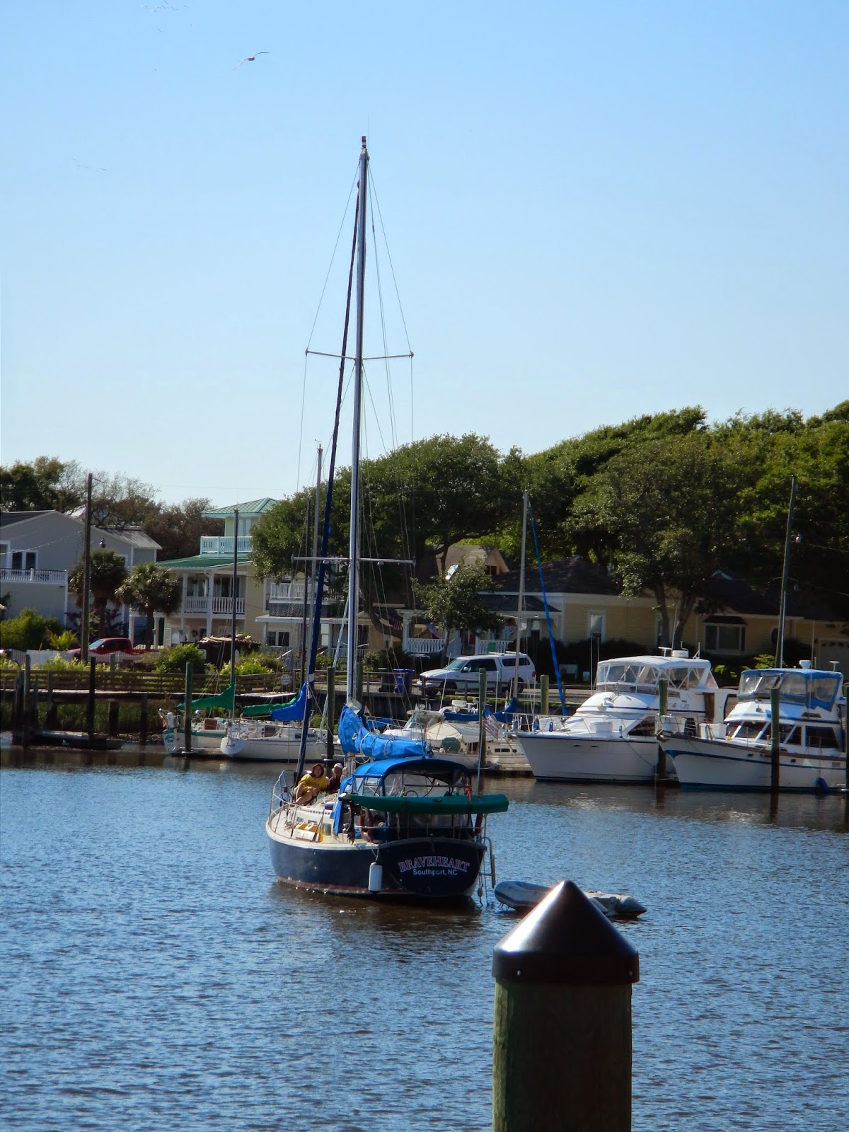 Back Porch Reflections: Fishy Fishy Cafe