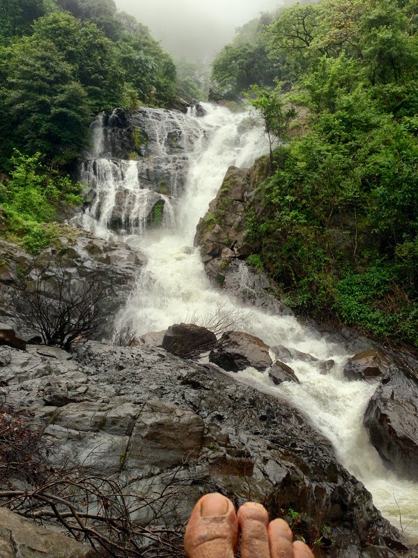 The First Step: Doodhsagar and Tambdi Surla Trek