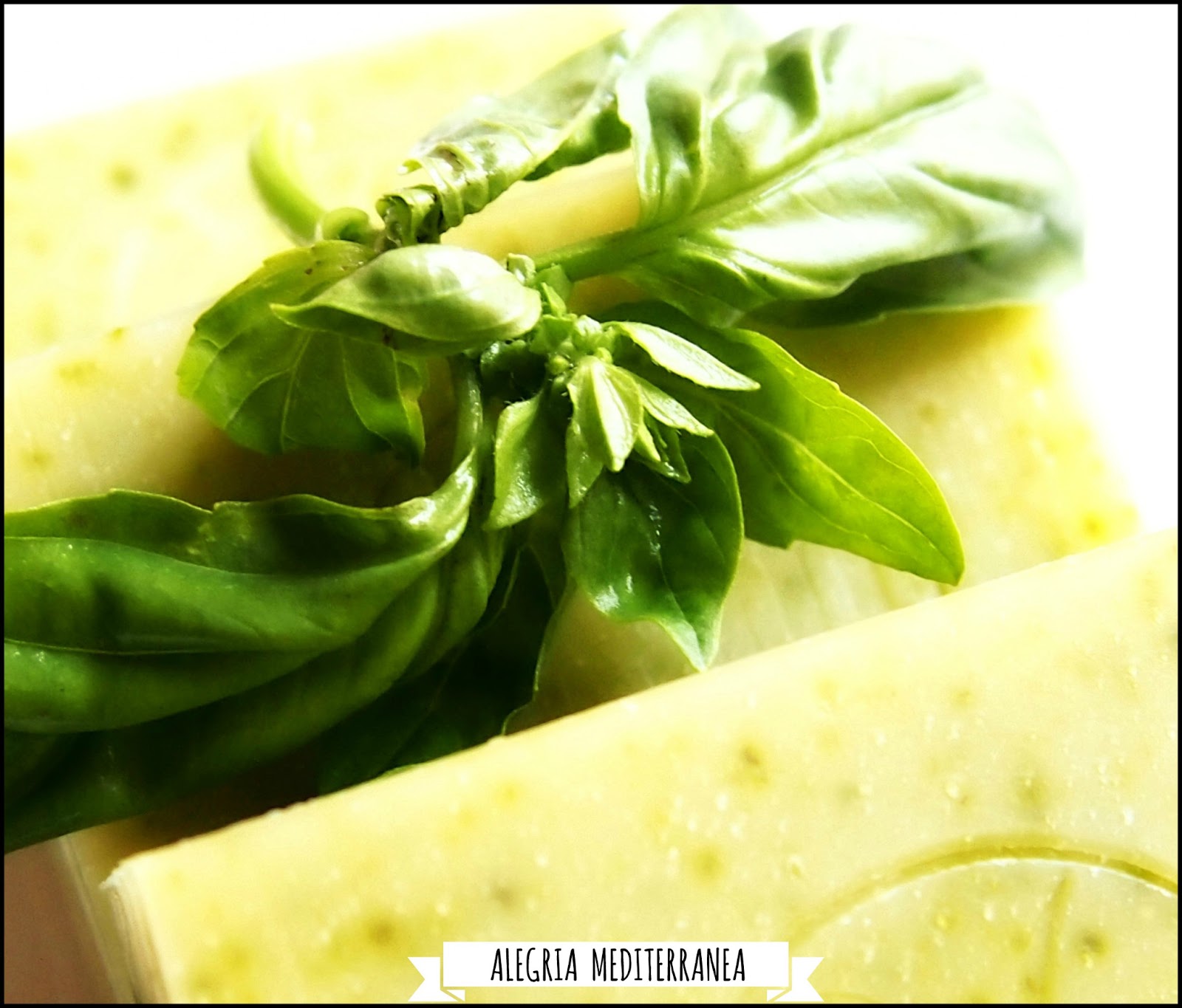ALEGRIA MEDITERRANEA: JABÓN DE ALBAHACA / FRESH BASIL SOAP