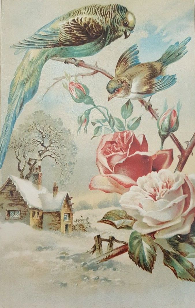 Alenquerensis: Beautiful Things from the Past