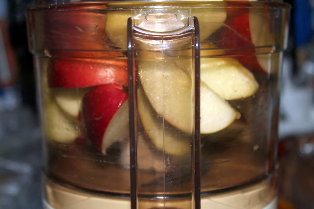 Andy's Easy Homemade Apple Wine