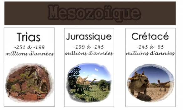 L'école sans les colles.: Les dinosaures