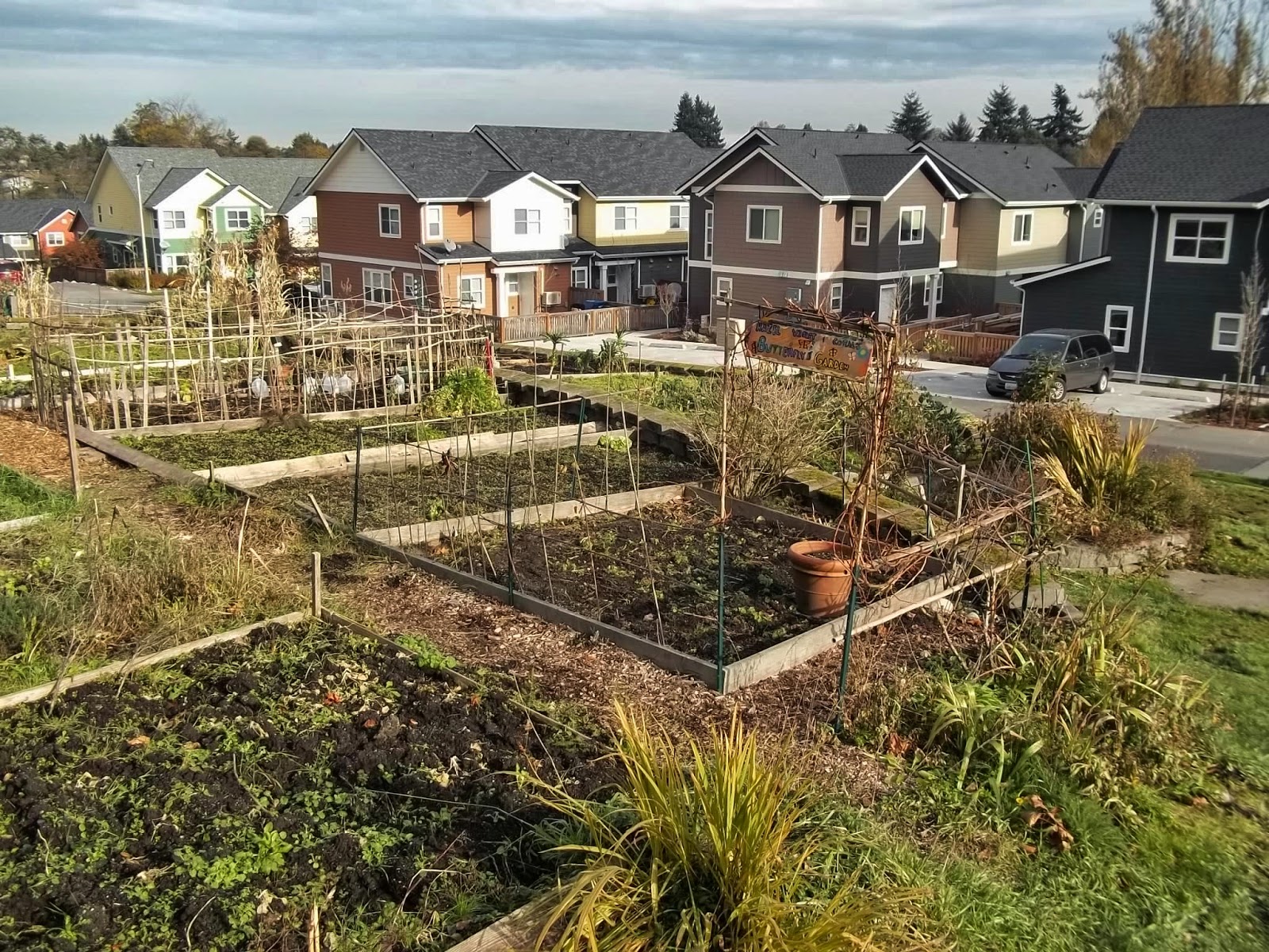 Urban Landscape, Native Landscape: Seattle Community Farm at Rainier Vista
