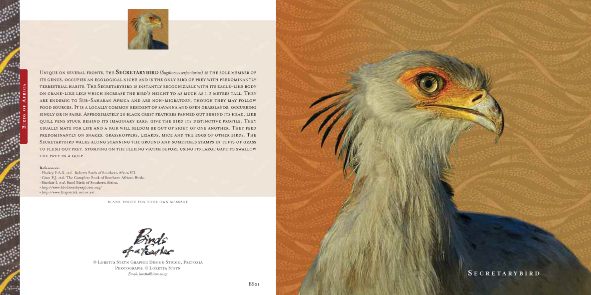 Loretta Steyn Graphic Design Studio: Birds of a Feather – Greeting card ...