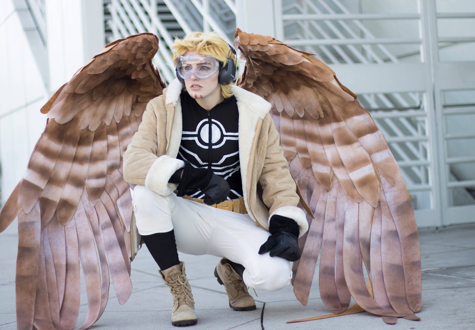 contenidoimagenes: hawks