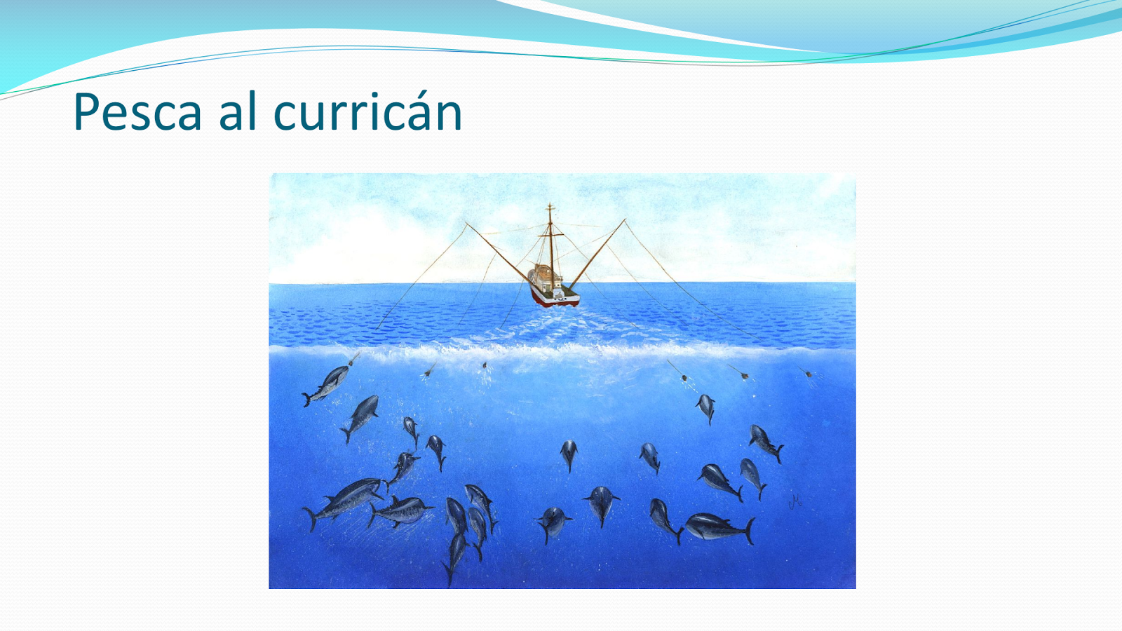 EDUCACION AMBIENTAL : PESCA