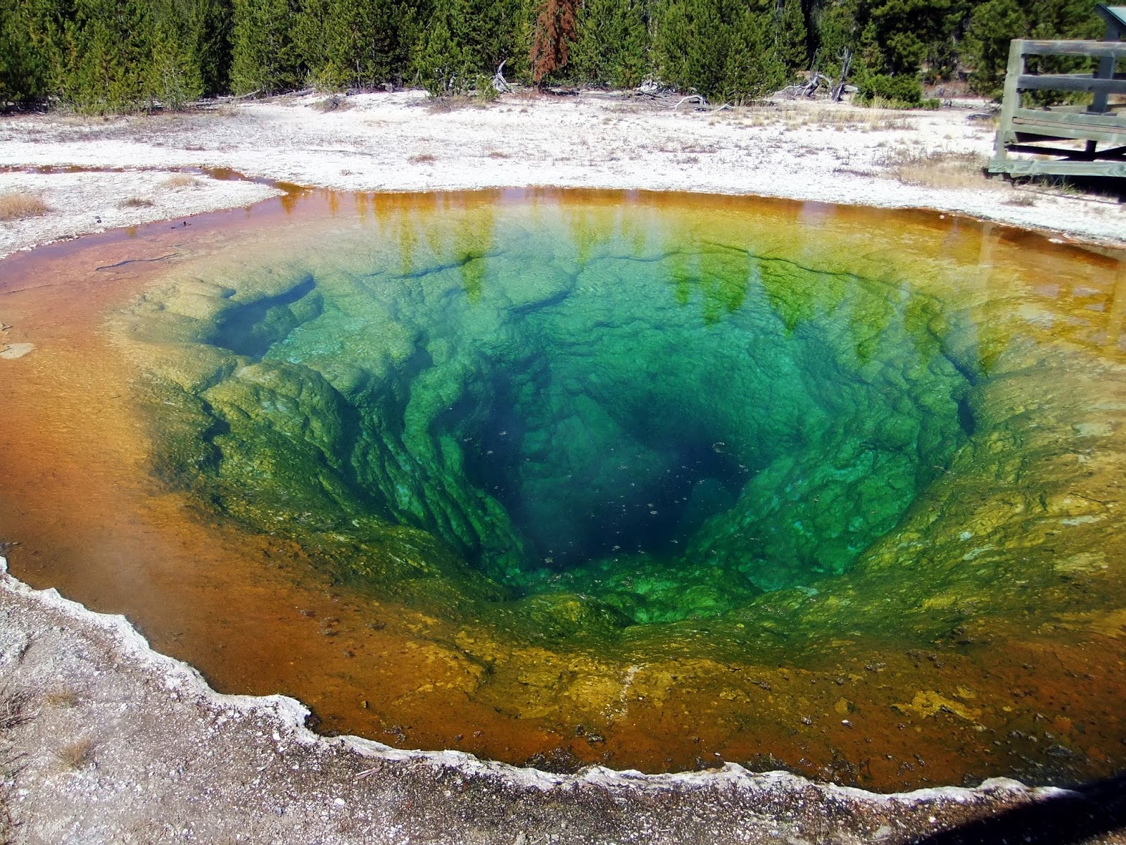 Focusing On Travel : Yellowstone: A Geyser Gazers Guide to the Upper ...