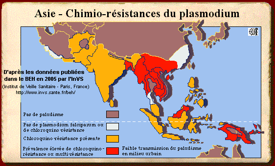 JE VIS AUX PHILIPPINES: PALUDISMES ... DES NOUVELLES