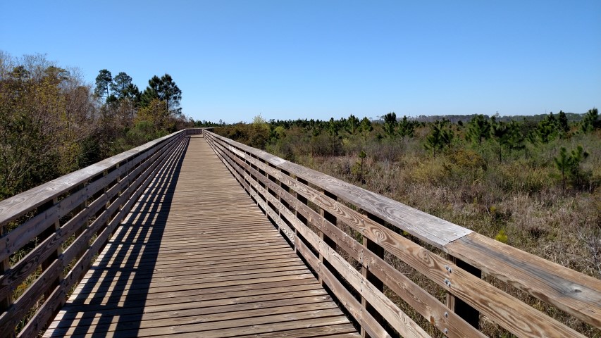 Walkabout With Wheels Blog: Biking the Trails @ Gulf Shore State Park ...