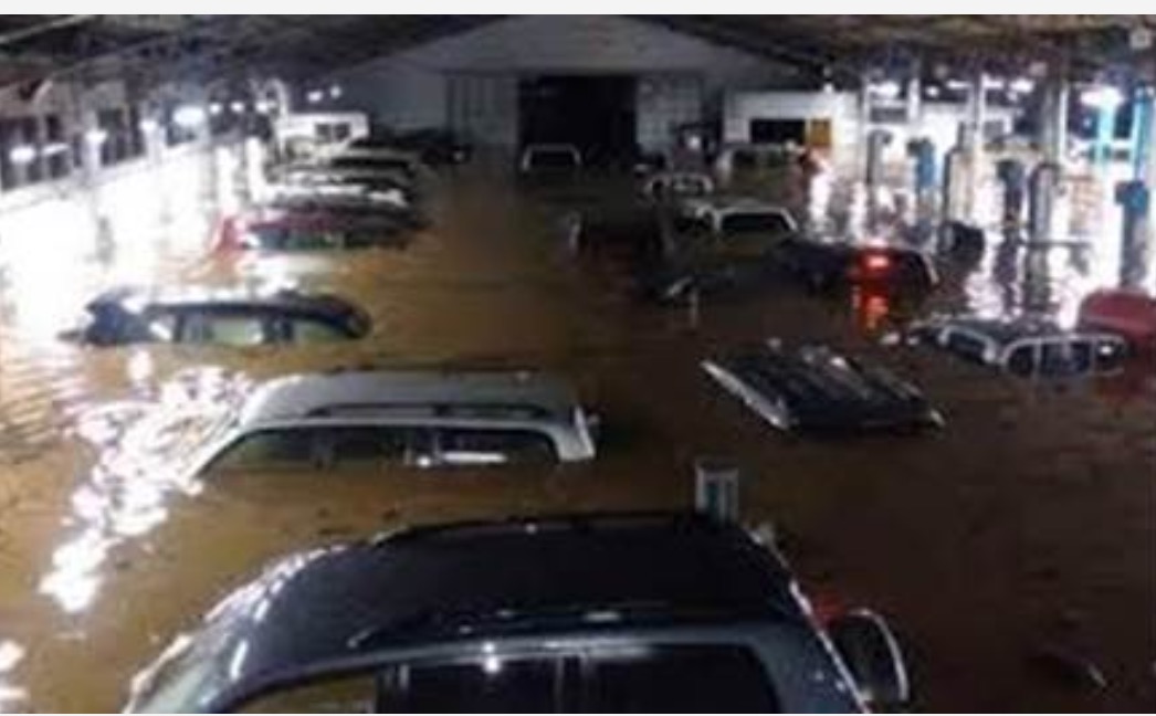 Elder Robert Bowring